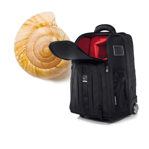 Bags - Ultimate Protection For Your Gear | Sachtler